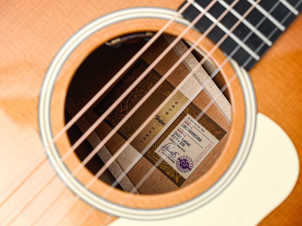 Taylor Gold Label 517e Mahogany Sunburst 2025 | The Fellowship of Acoustics