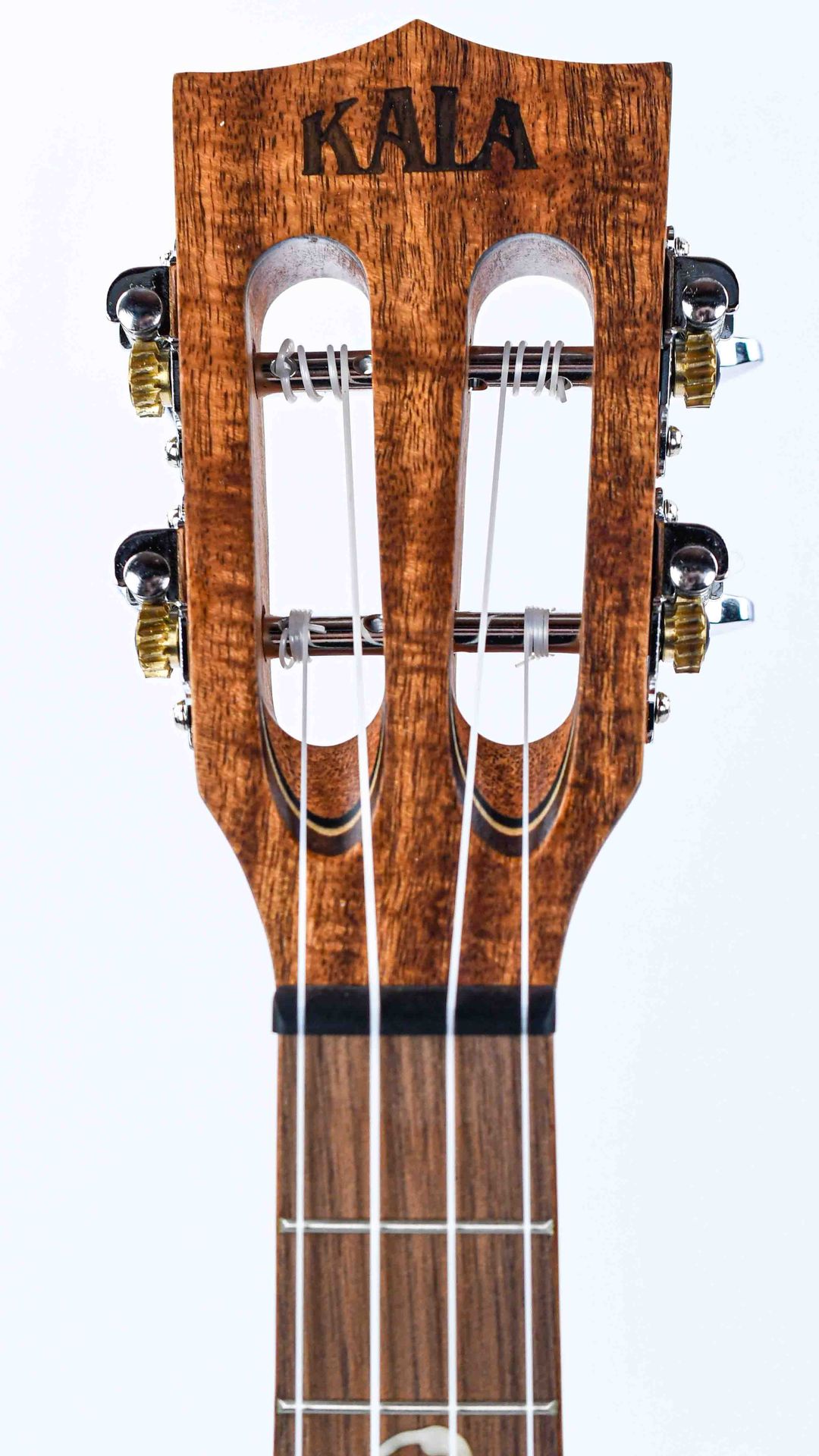Kala Solid Acacia Tenor Ukulele w/ EQ B-Stock | The Fellowship of Acoustics