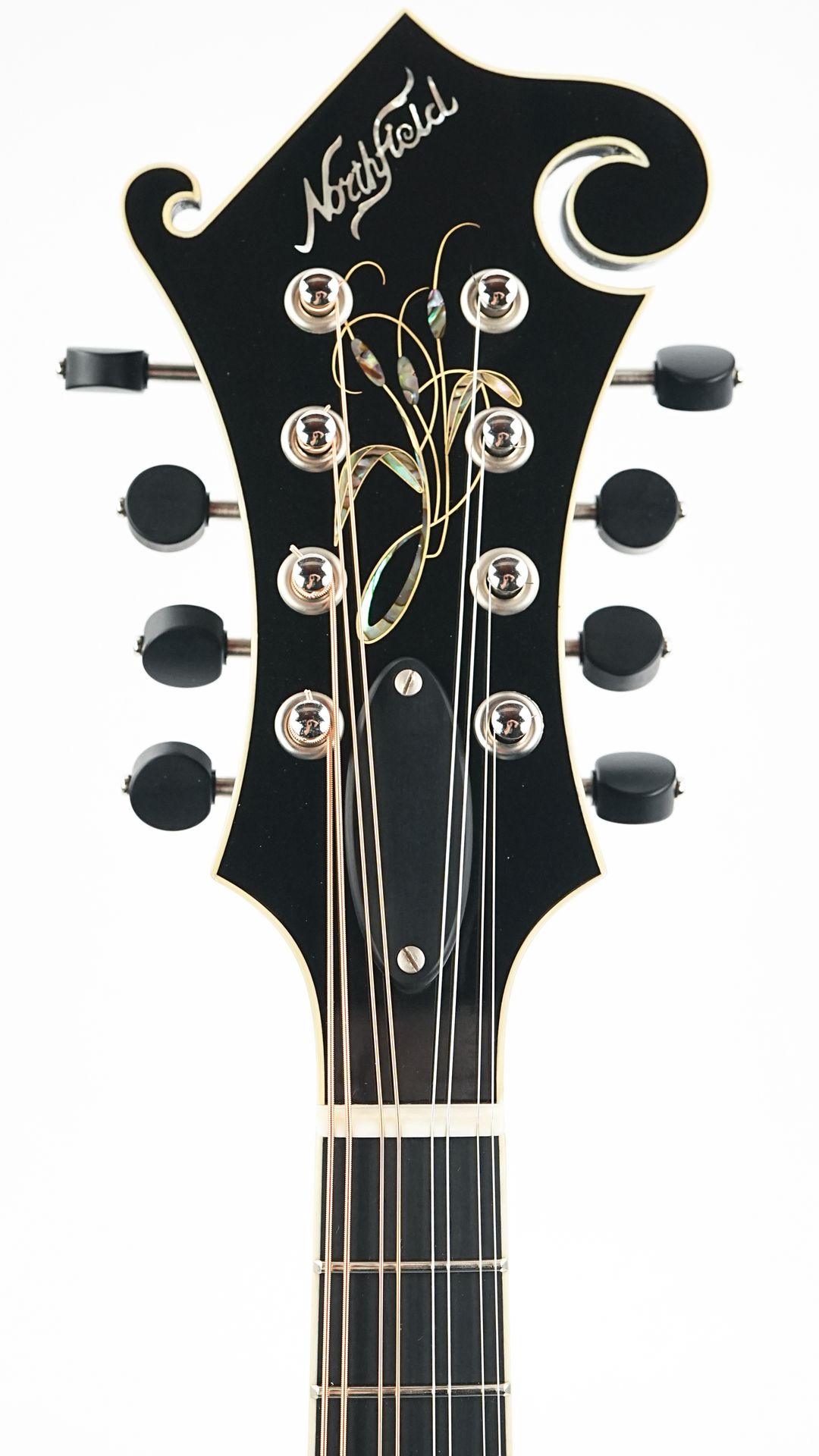 Northfield NFAF51I Italian Spruce Maple | The Fellowship of Acoustics