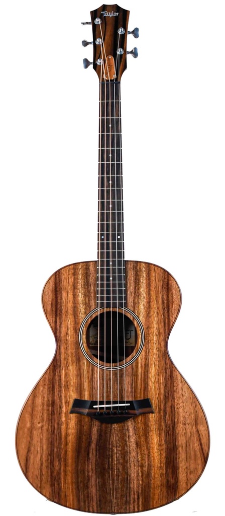 Taylor Jacob Collier Signature Model 5 String | The Fellowship of Acoustics